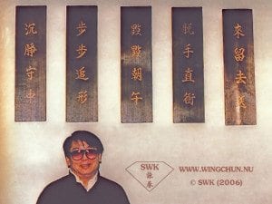 Principles - SWK Wing Chun